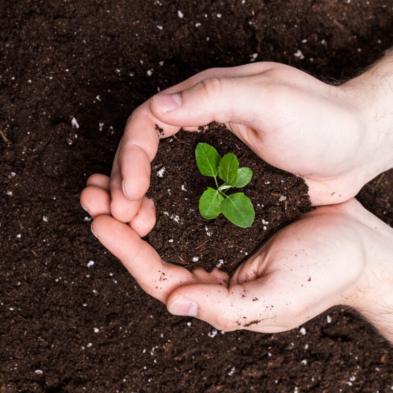 Compost, Barks & Soils - Blue Diamond