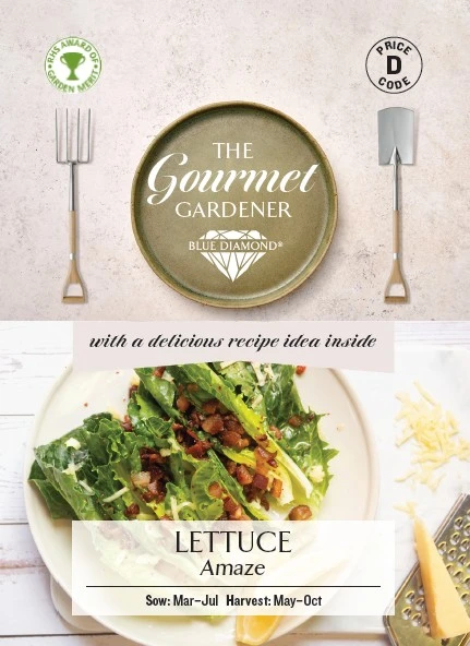 LETTUCE Amaze - Blue Diamond