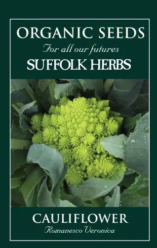 Cauliflower Romanesco Veronica - Blue Diamond