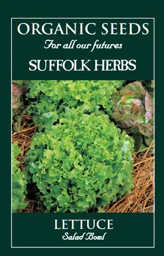 Lettuce Salad Bowl - Blue Diamond