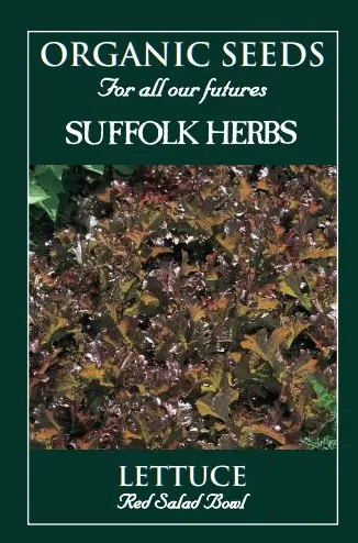 Lettuce Red Salad Bowl - Blue Diamond