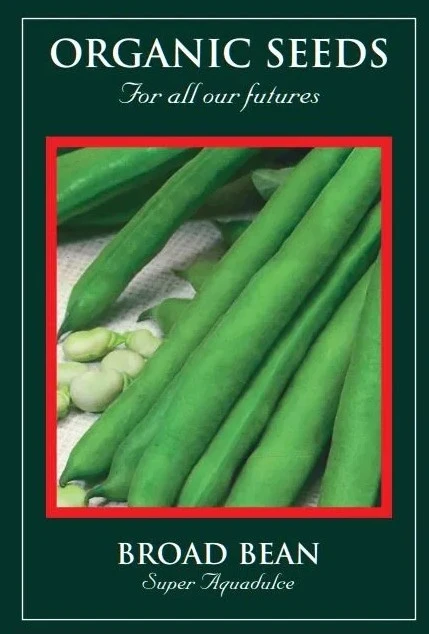 Broad Bean Super Aquadulce - Blue Diamond