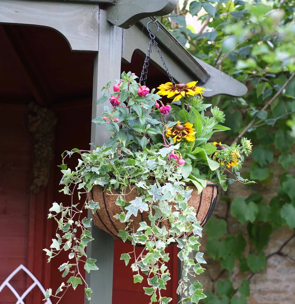 Smart Hanging Basket - Blue Diamond